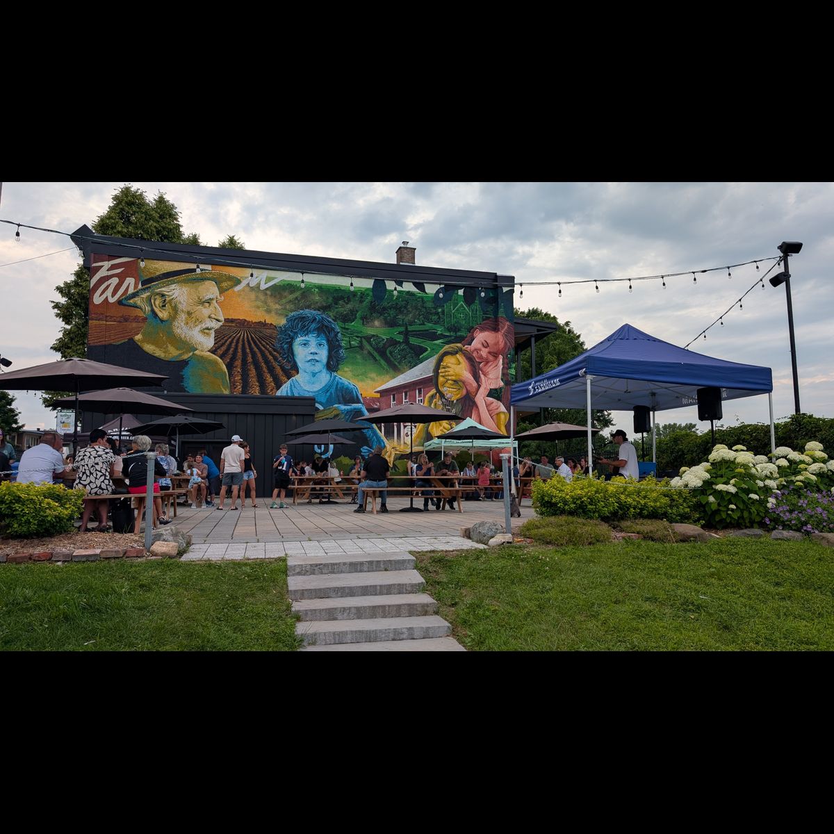 Farnham_5_Activités estivales